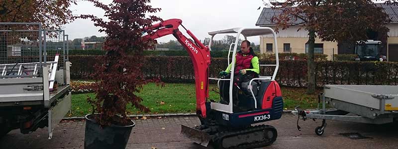 Leistungen European Tree Worker - Daniels Baum- und Gartenservice